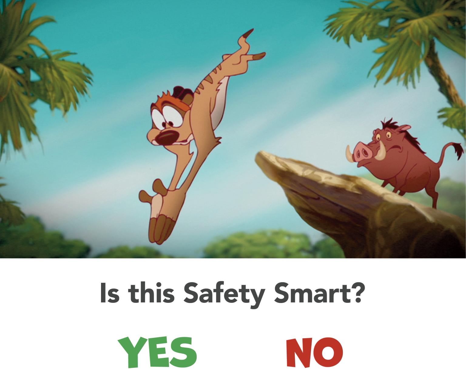 Safety Quiz - Disney Wild About Safety