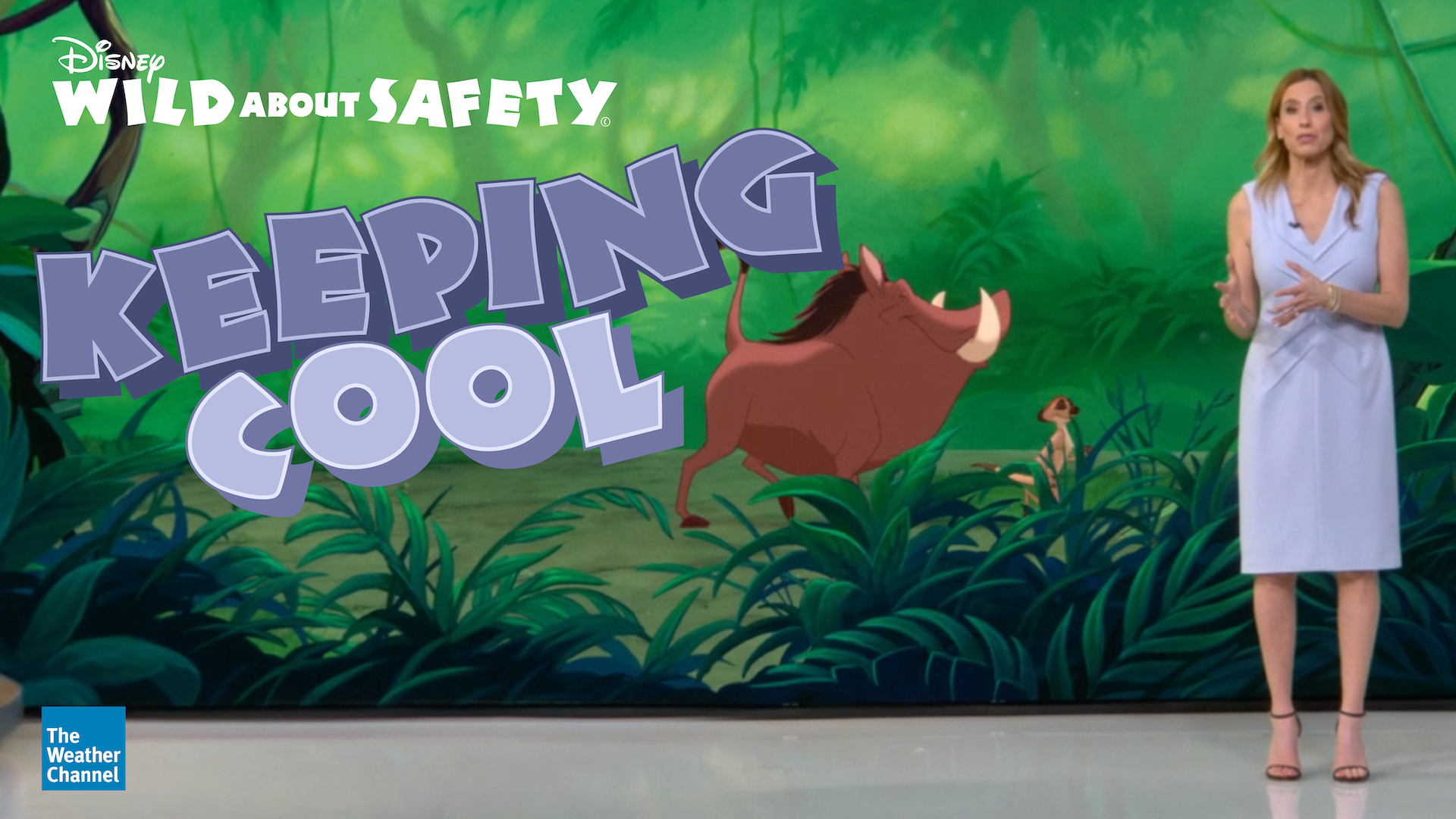 Weather Safety - Disney Wild About Safety